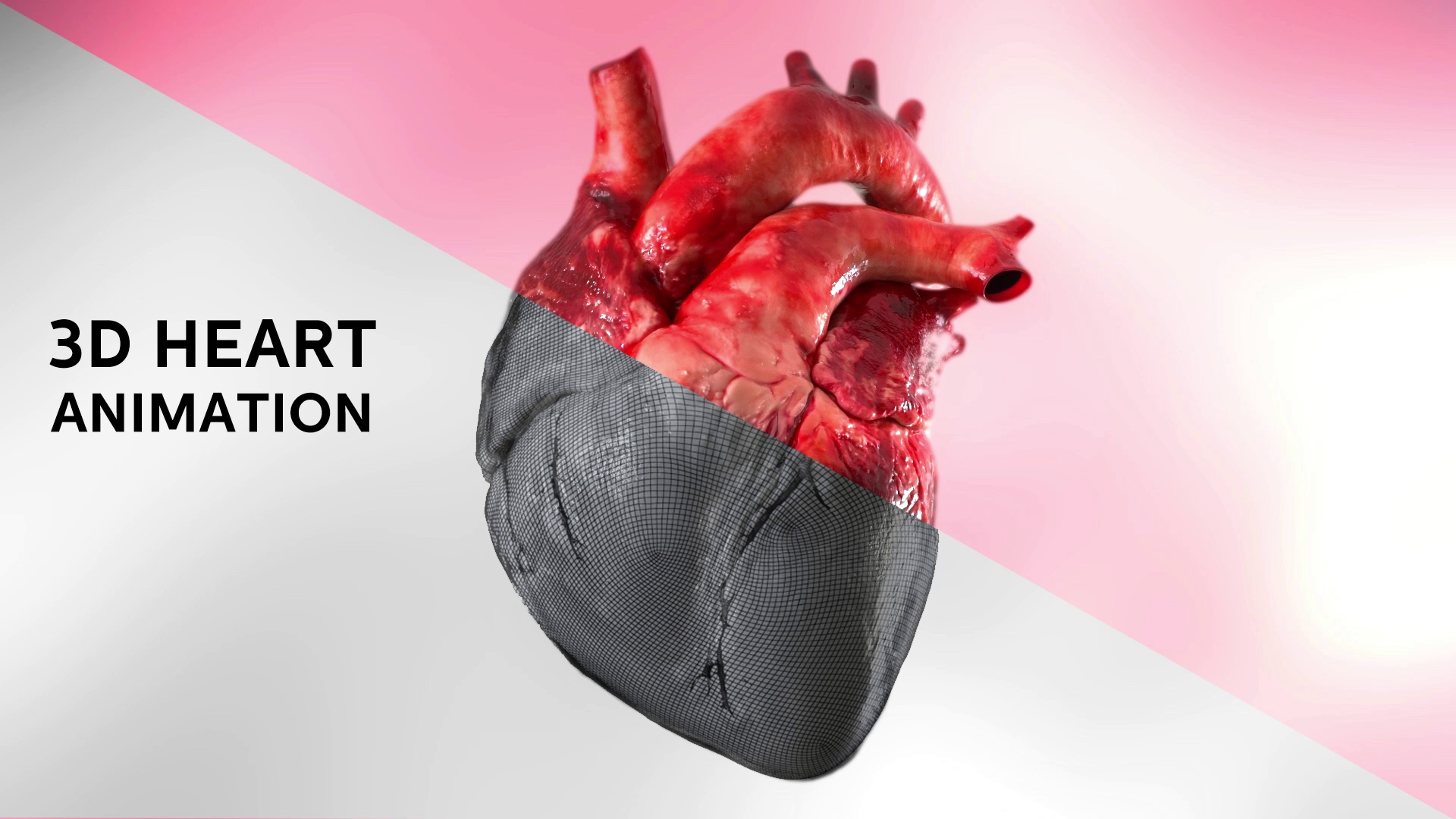 3D Heart Animation - CG Folks