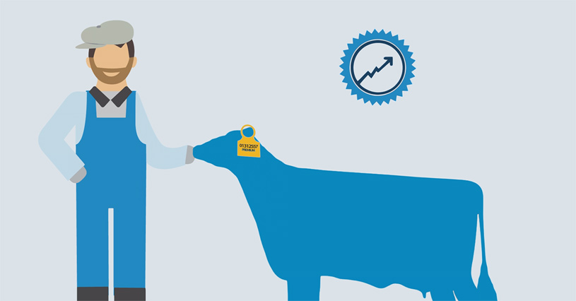 Viking Genetics 2D Explanatory Animation - CG Folks